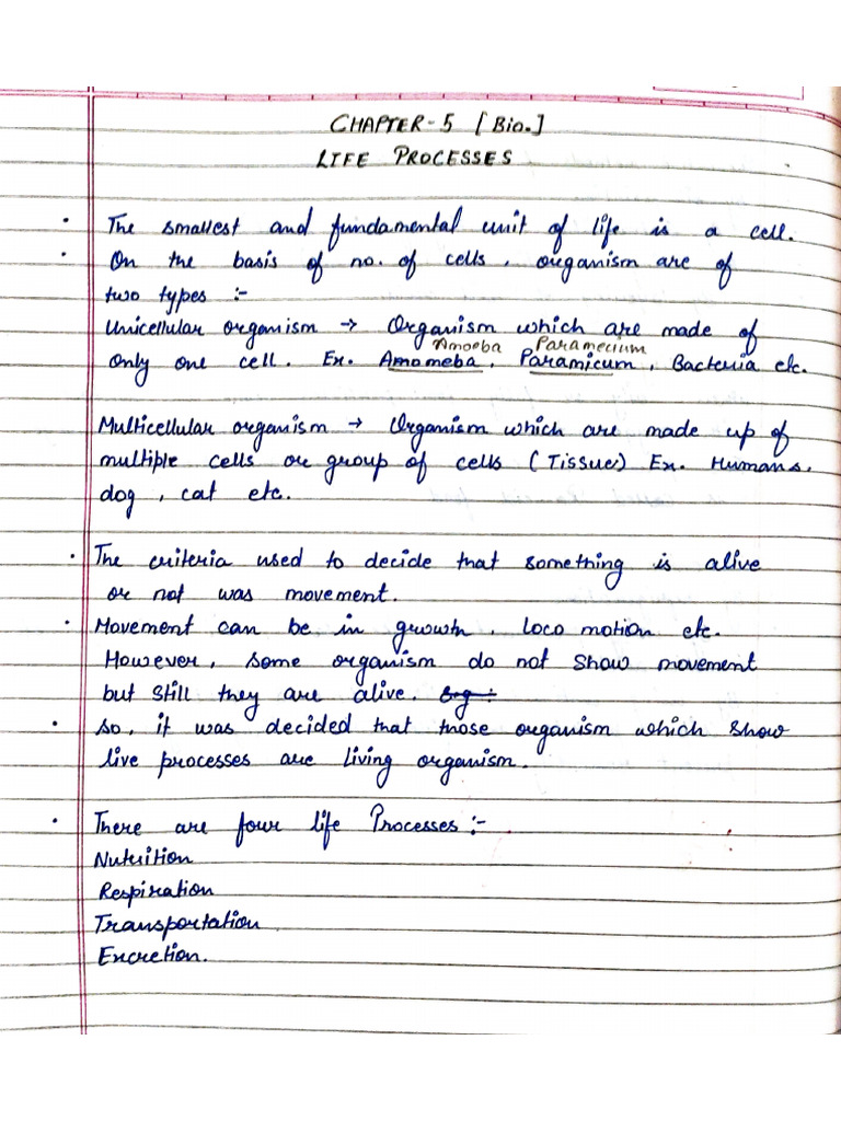 Ch. 5 Science Part | PDF