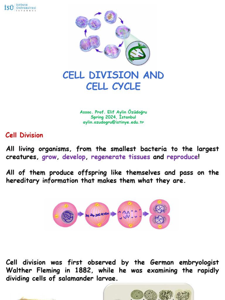 5. Cell Division and Cell Cycle | PDF | Meiosis | Mitosis