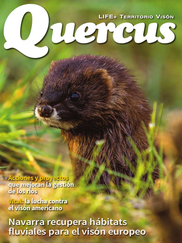 Suplemento Quercus 358 - Life-Vison | PDF | Especie en peligro | Inundar