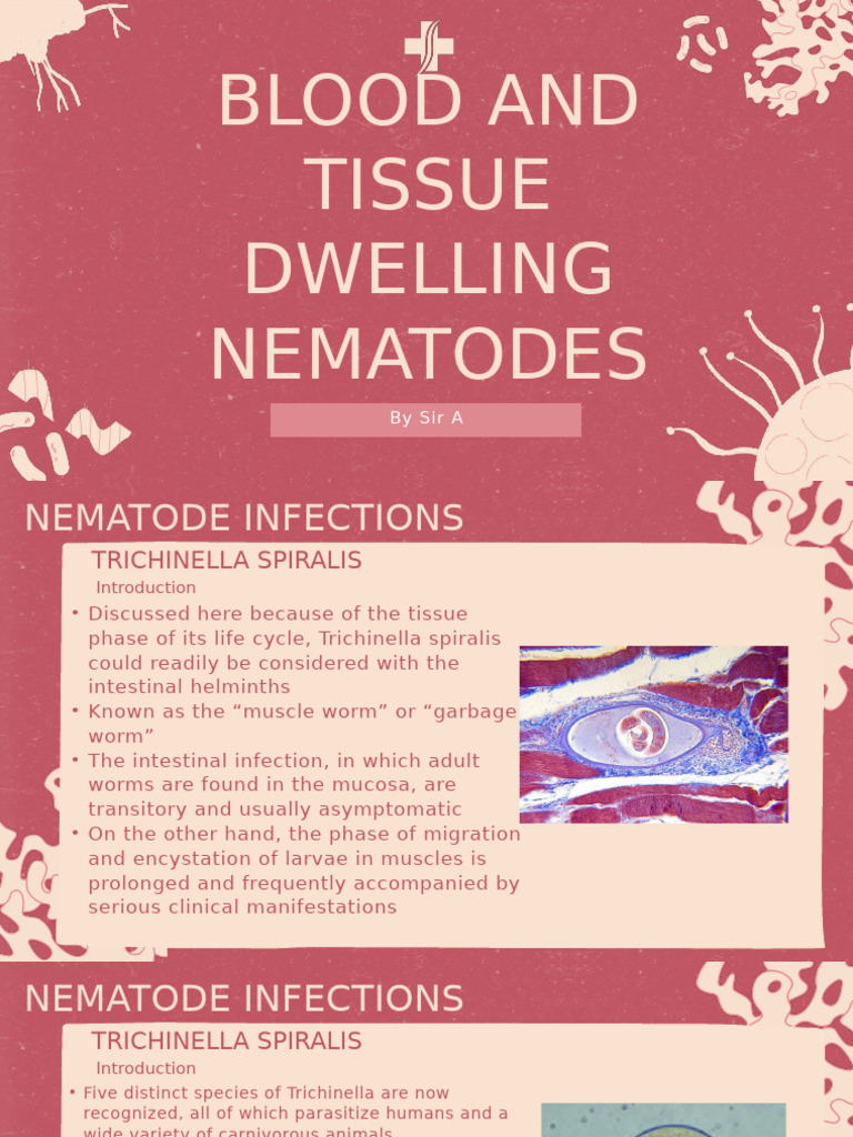 Blood and Tissue Nematodes | PDF | Medical Specialties | Parasitology