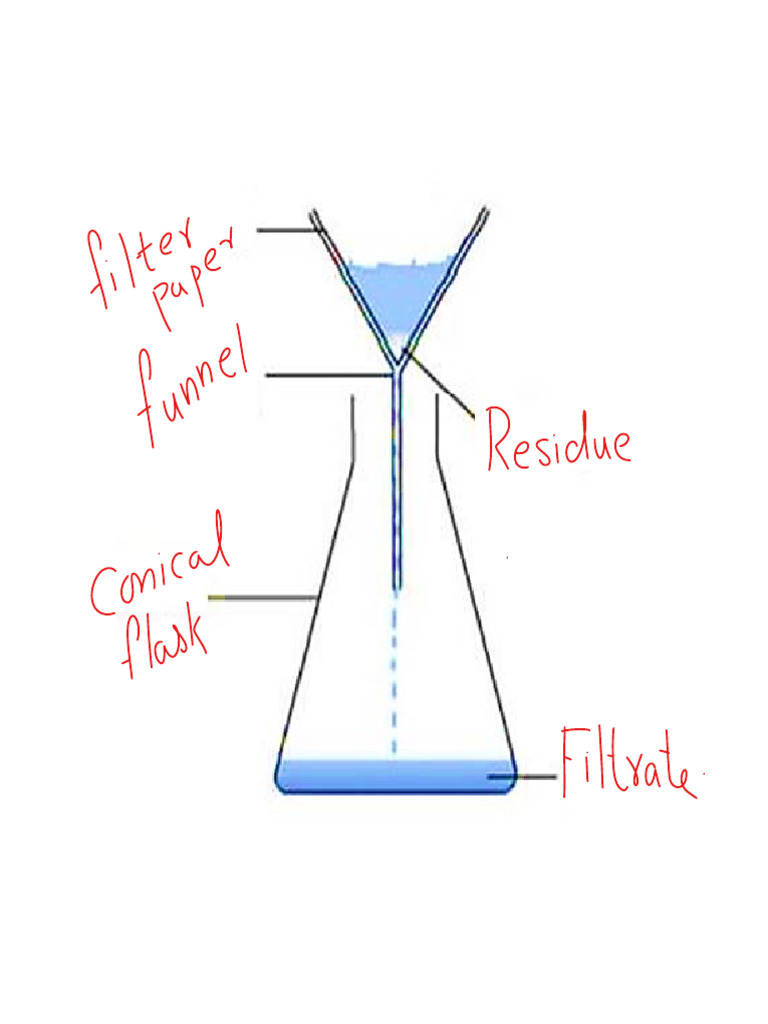 Filtration Picture Answer Key | PDF