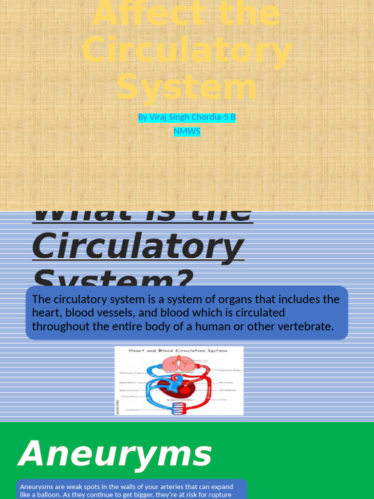 Circulatory System Diseases Explained | PDF