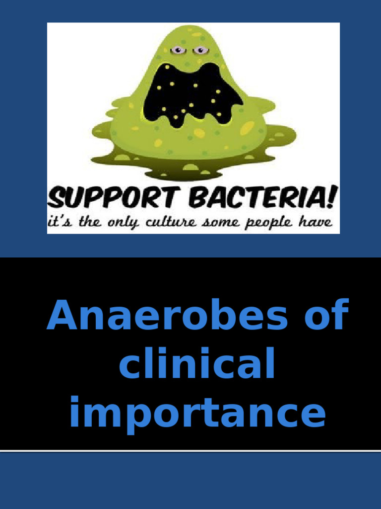 16th Anaerobes of Clinical Importance | PDF | Botulinum Toxin ...