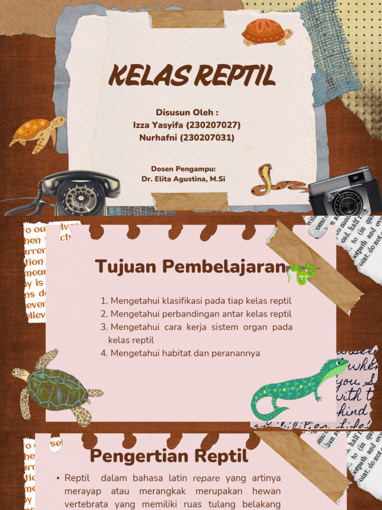 Reptil | PDF