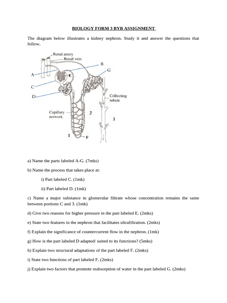 Biology Form 3 Byb Assignment | PDF