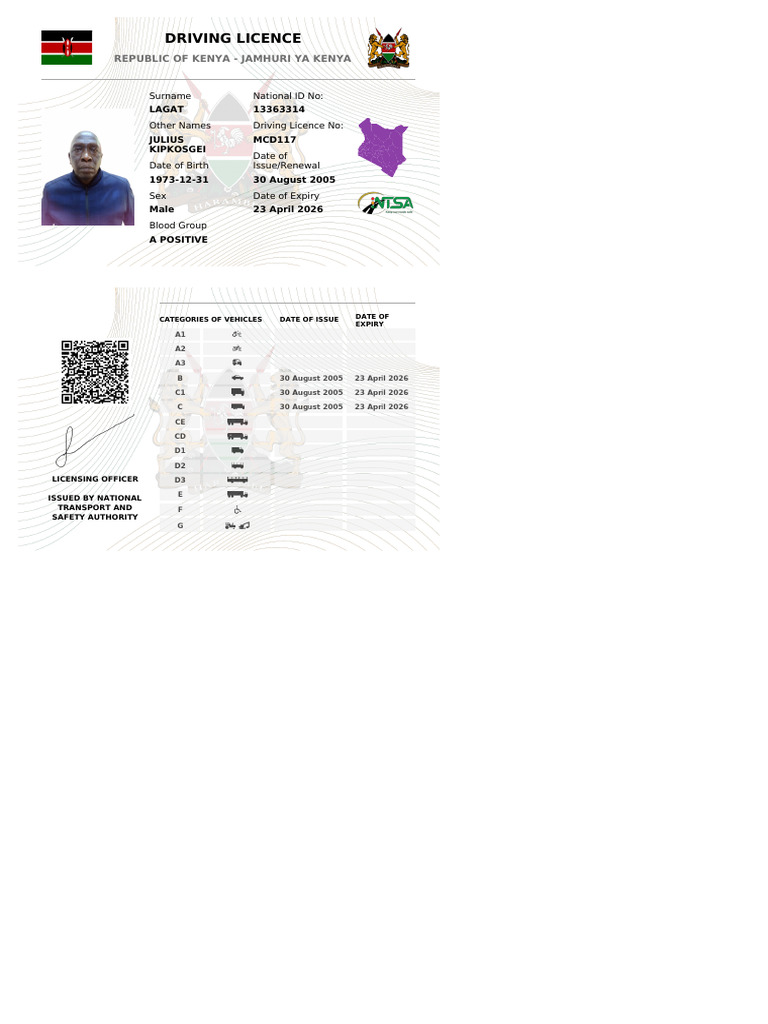 DLR-DEWUW6ROE-Electronic Driving License | PDF