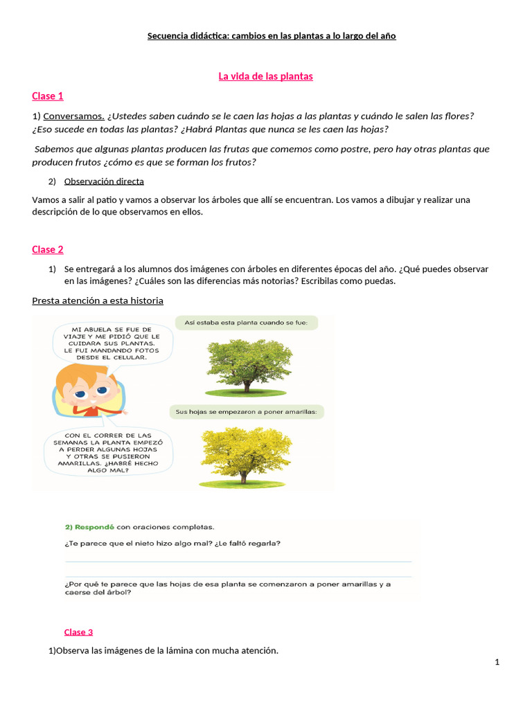 CAMBIOS EN LAS PLANTAS-SECUENCIA | PDF | Plantas | Flores
