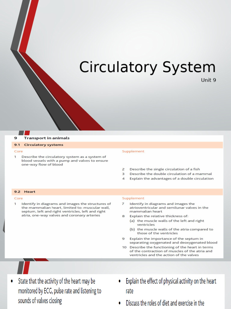 CH - 9 Circulatory System New | PDF | Heart Valve | Heart
