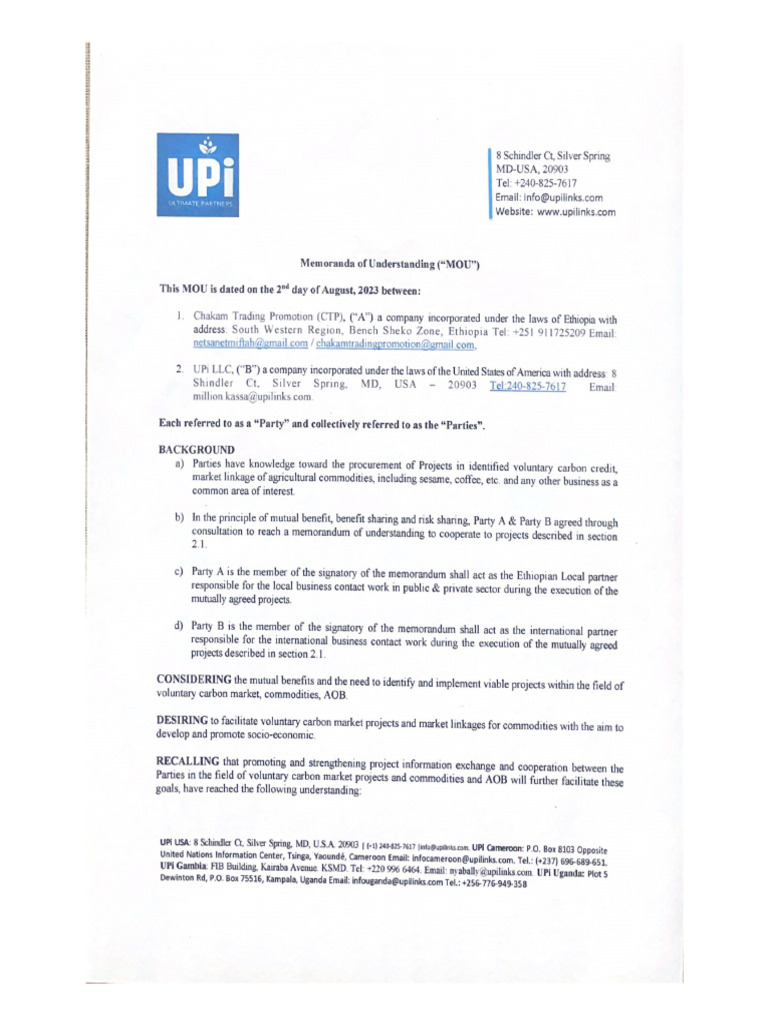 Ultimate Partners | PDF