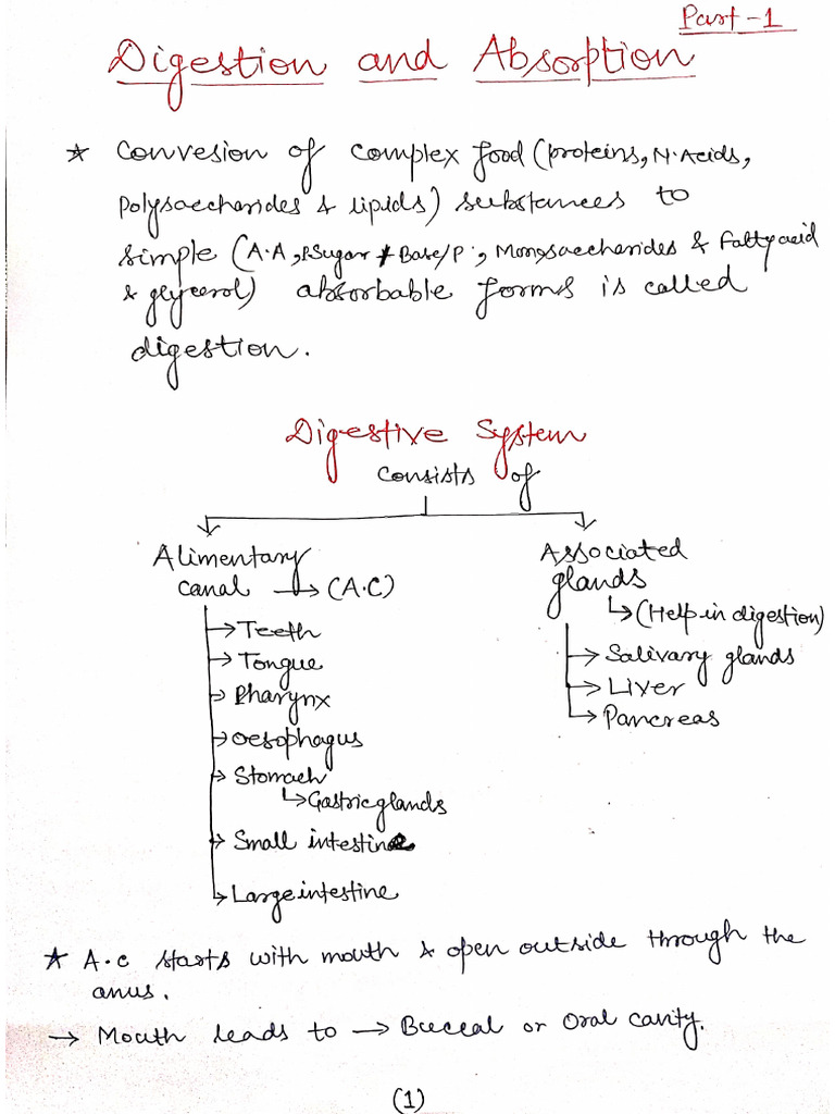 Digestion Absorption Part 1 Pdf