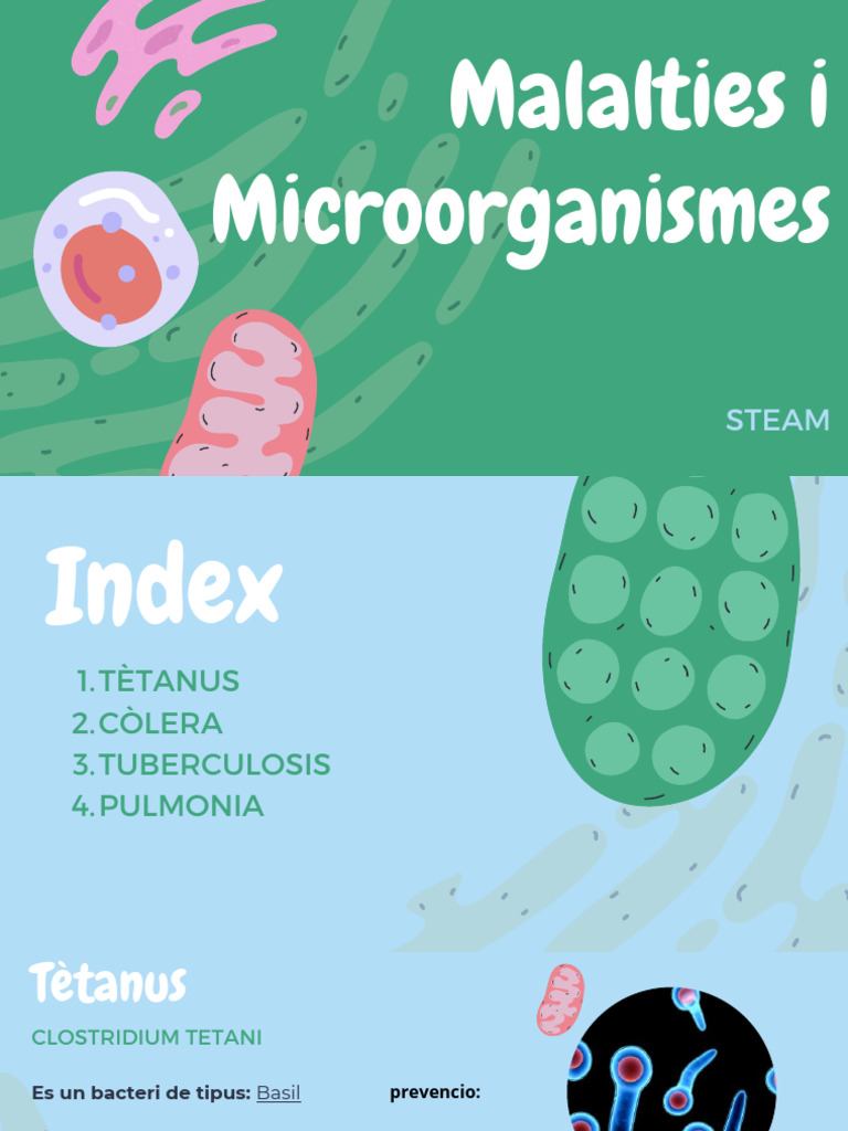 Steam | PDF