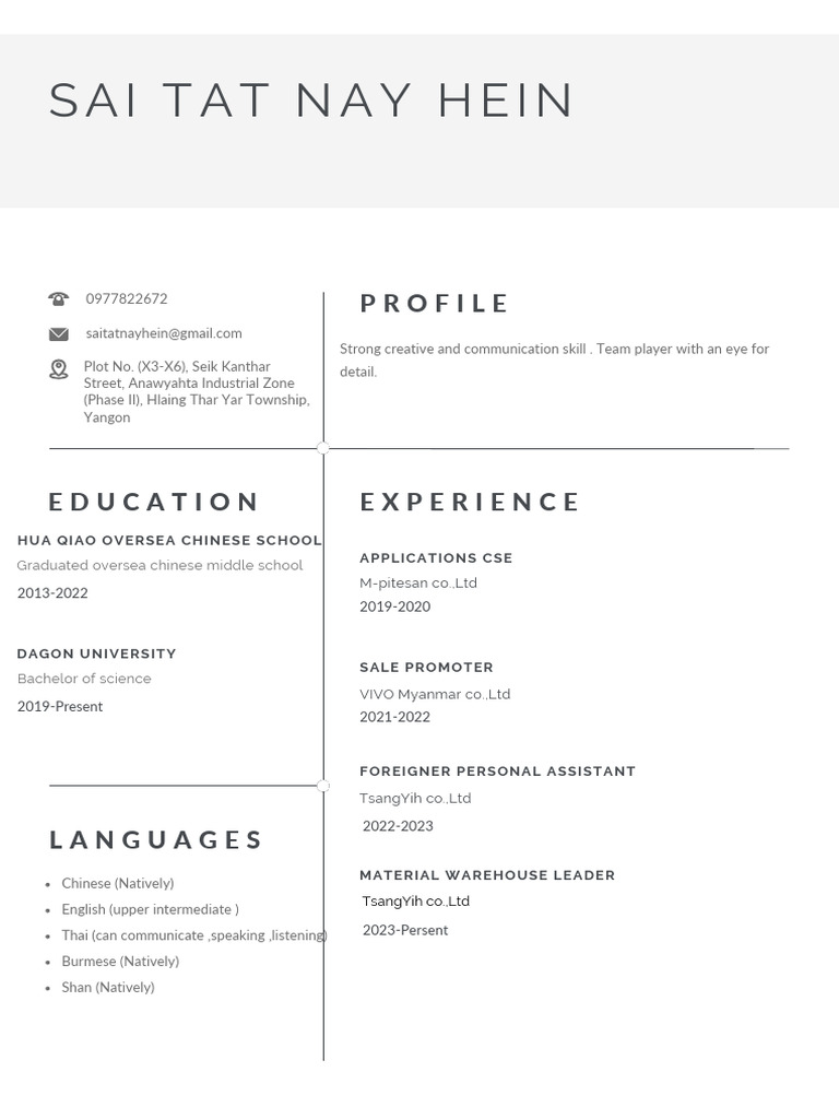 Sai Tat Nay Hein: Profile | PDF