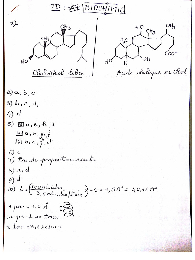 Correction TD Biochimie | PDF