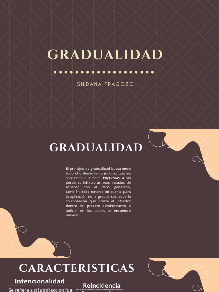 Principio de Gradualidad | PDF