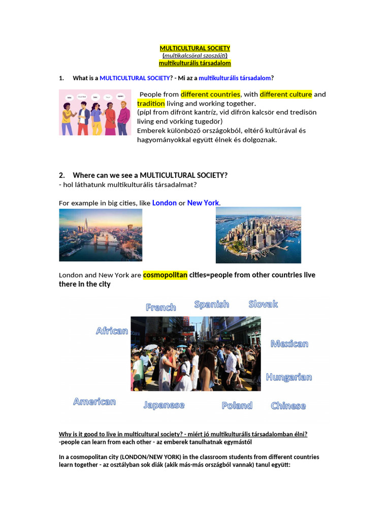 Multicultural Society - Shannon | PDF