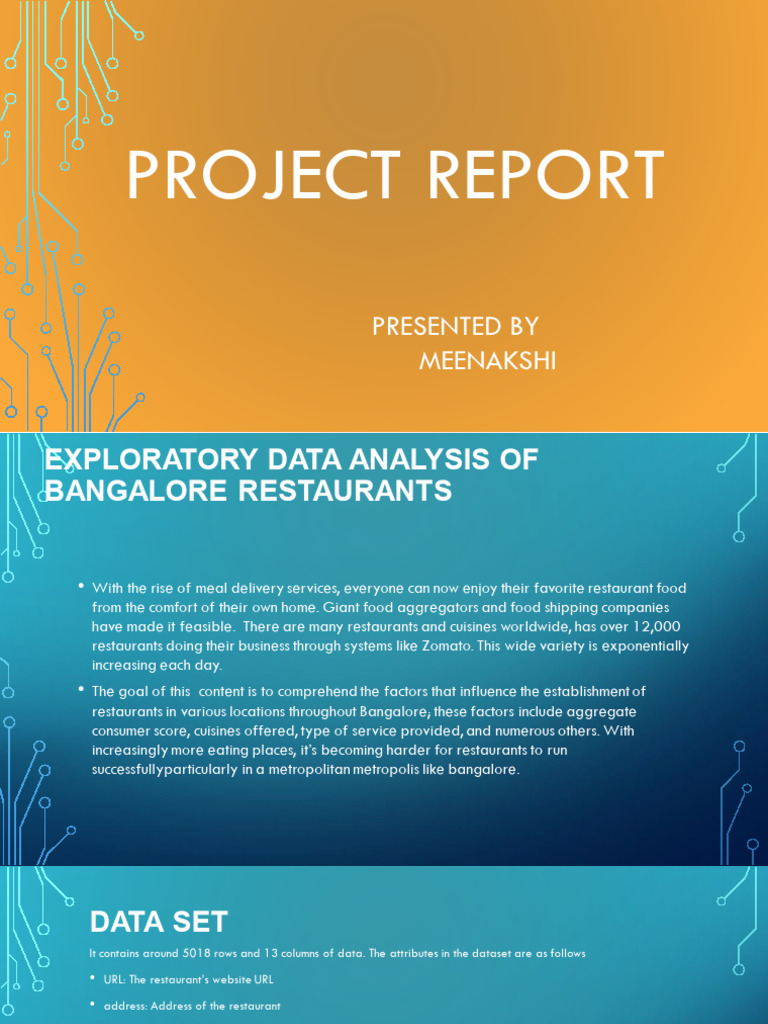 Project Report1 | PDF