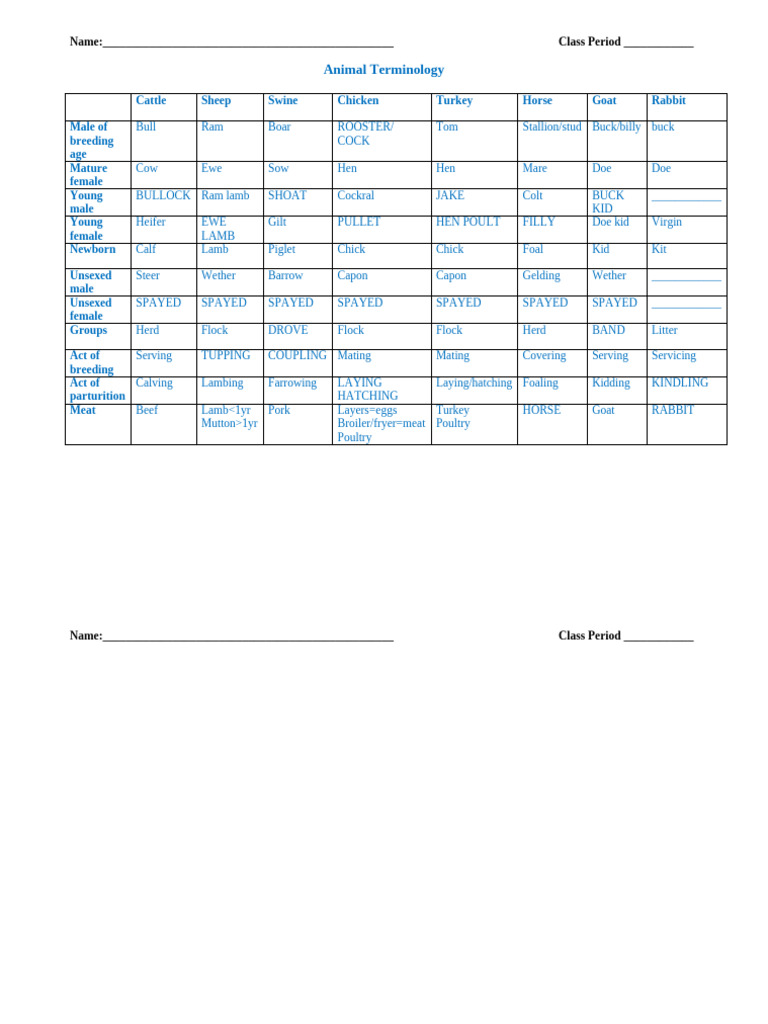 Complete Animal Terminology Chart | PDF