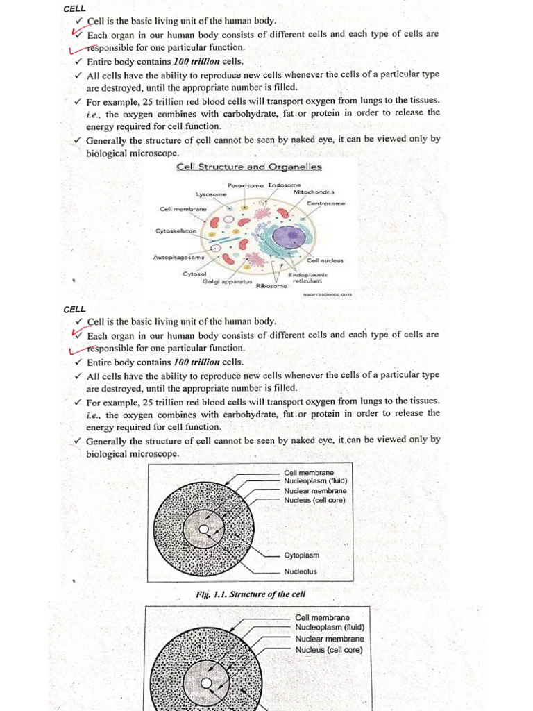 ECT 414 M1 Presentation2 | PDF