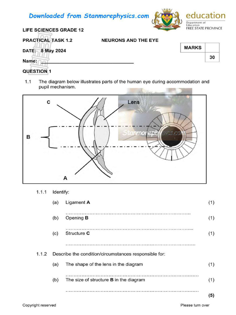 FS Life Sciences Grade 12 Practical TERM2 Neuron and Eye and Mem | PDF
