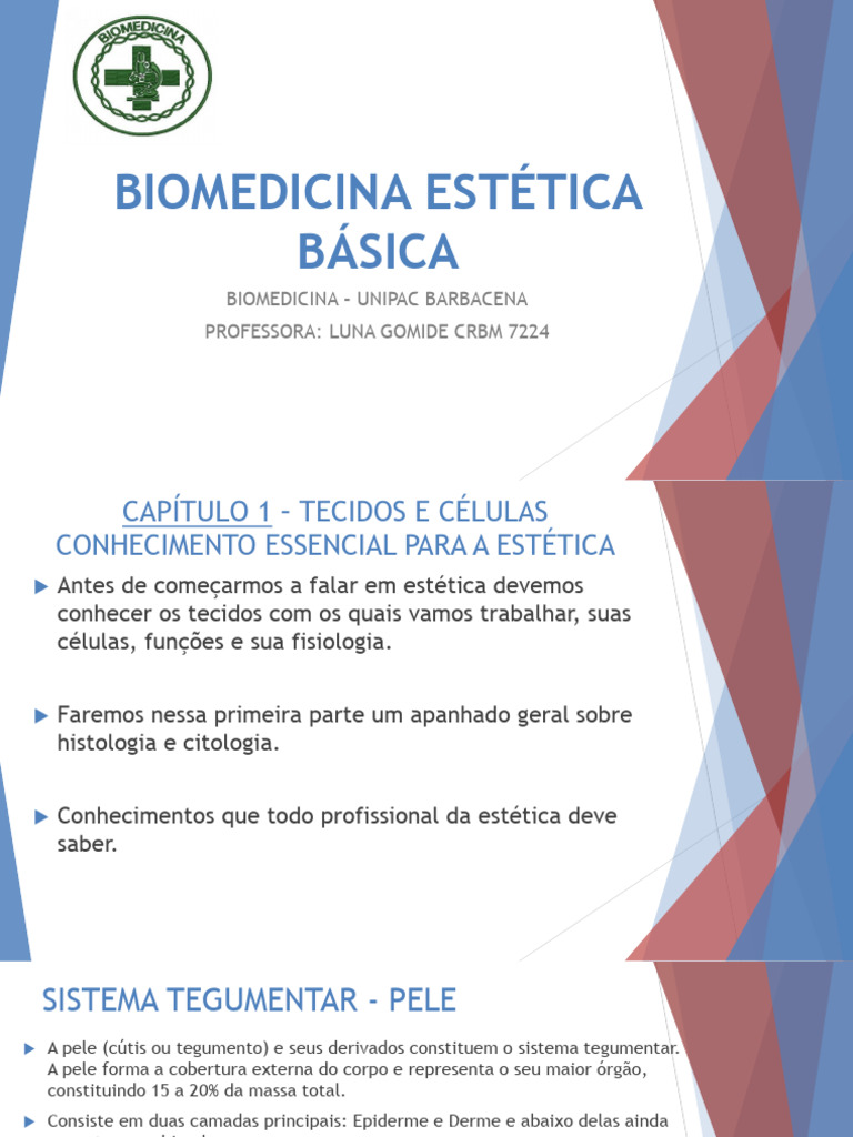 Estruturas da Pele: Epiderme, Derme e Hipoderme | PDF | Pele | Tecido ...