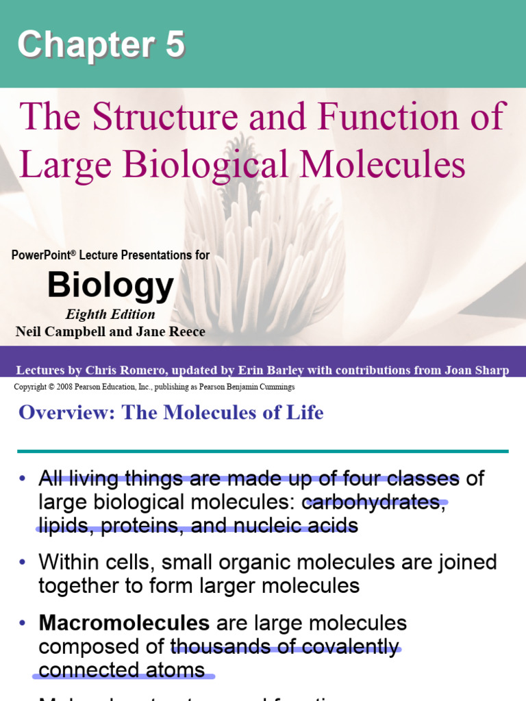 05 - Lecture - Presentation AP Bio | PDF | Macromolecules | Polymers