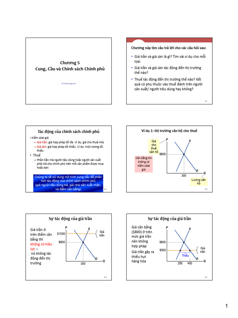 ViMo 5 Cung, Cau Va ChinhSach ChinhPhu (2021) | PDF