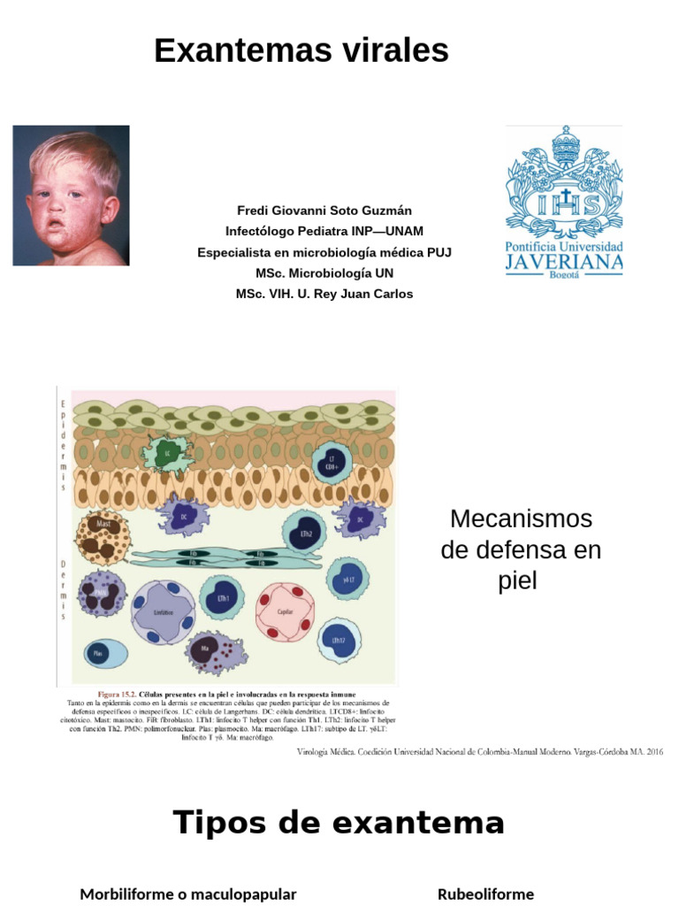 exantemas | PDF | Sarampión | Enfermedades virales