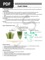 Class 9th Animal Tissue Notes | PDF | Epithelium | Muscle