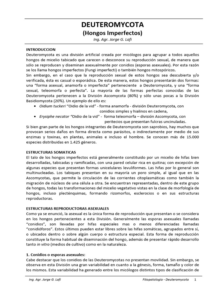 Apunte - Deuteromycota | PDF | Hongo | Micología