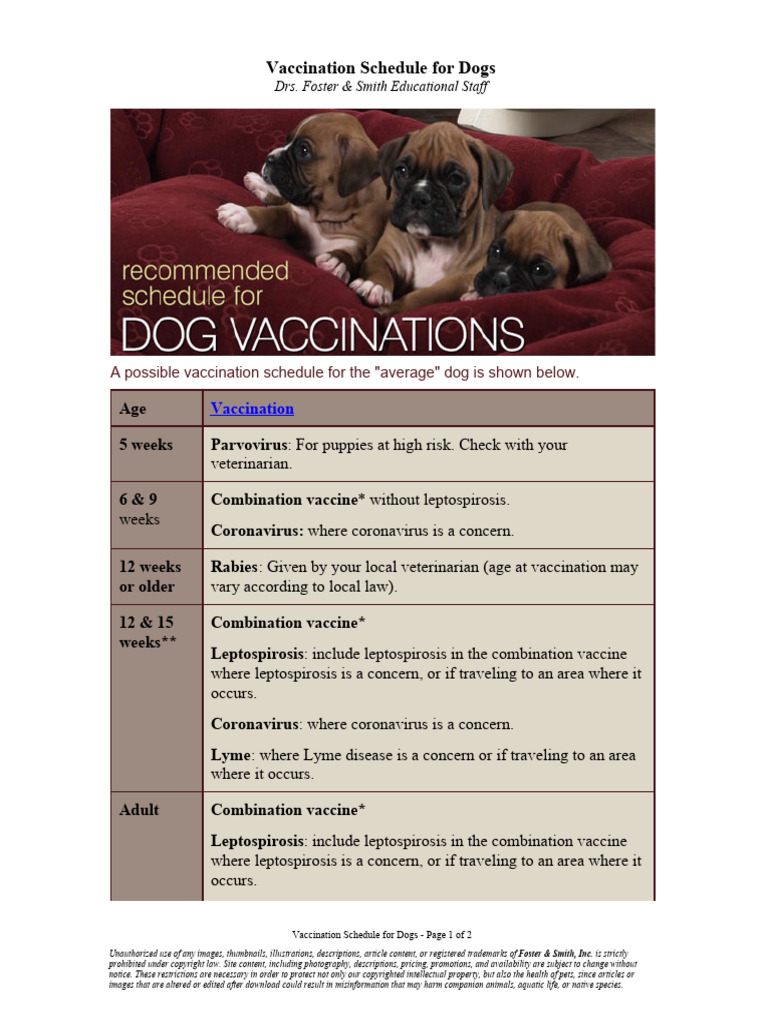 Vaccination Schedule For Dogs | PDF | Dogs | Vaccines