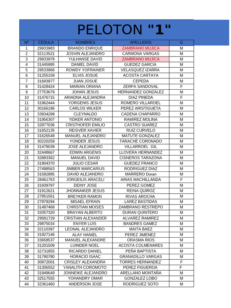 Compañias Con 2 Pelotones | PDF