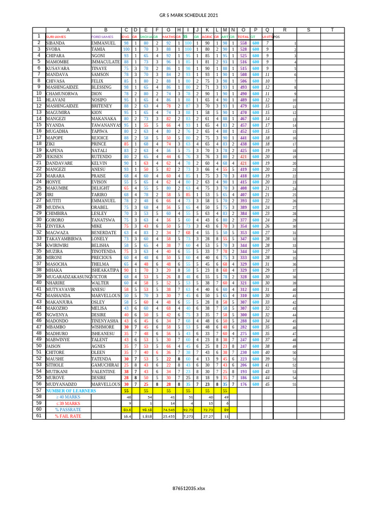 GRADE 3 TERM 1 2025 MARK SCHEDULE by Sir Ngoni | PDF