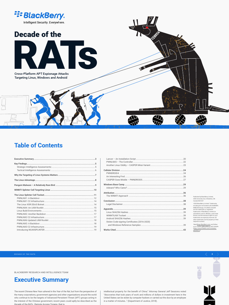 Report BB Decade of The Rats | PDF | Malware | Linux