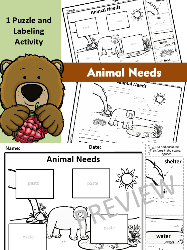 1 Puzzle and Labeling Activity: Animal Needs | PDF