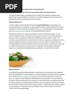 Calendario Maya Del Embarazo | PDF | Relaciones personales, crianza y ...