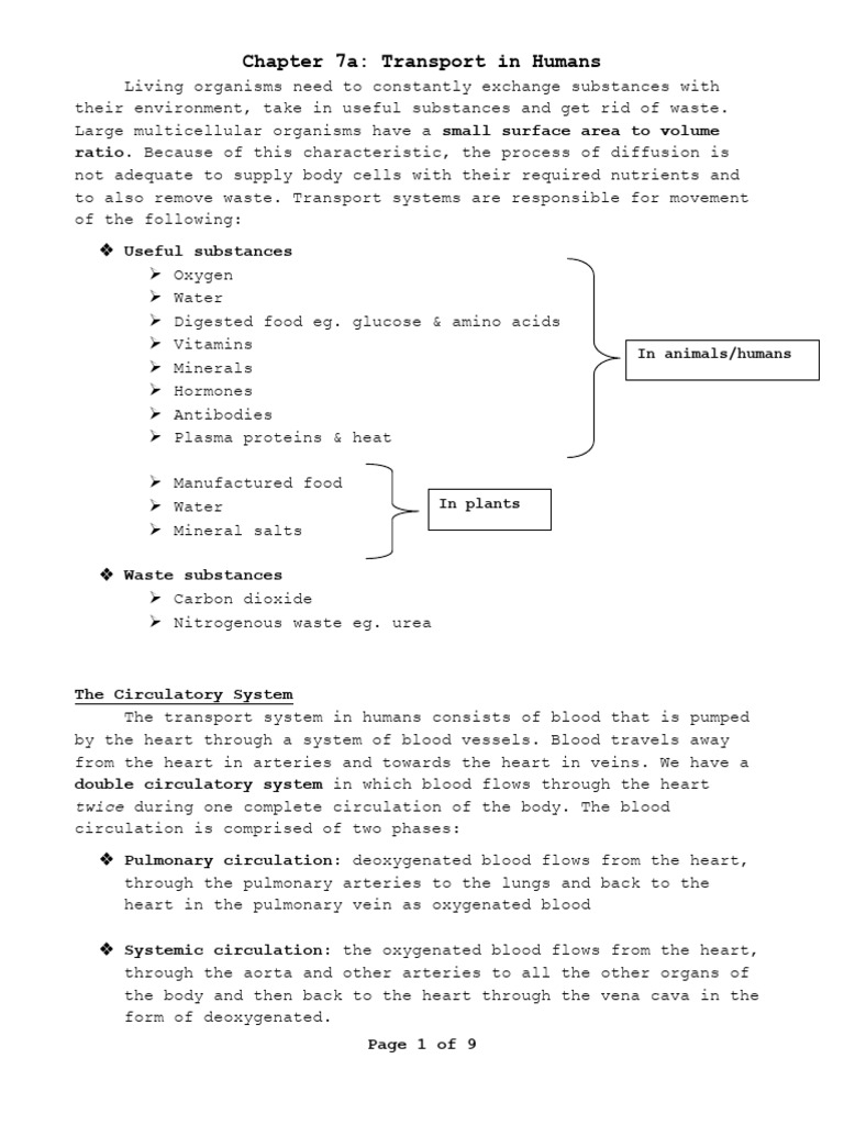 Chapter 7 Transport in Humans Biology 4th Form Notes | PDF ...