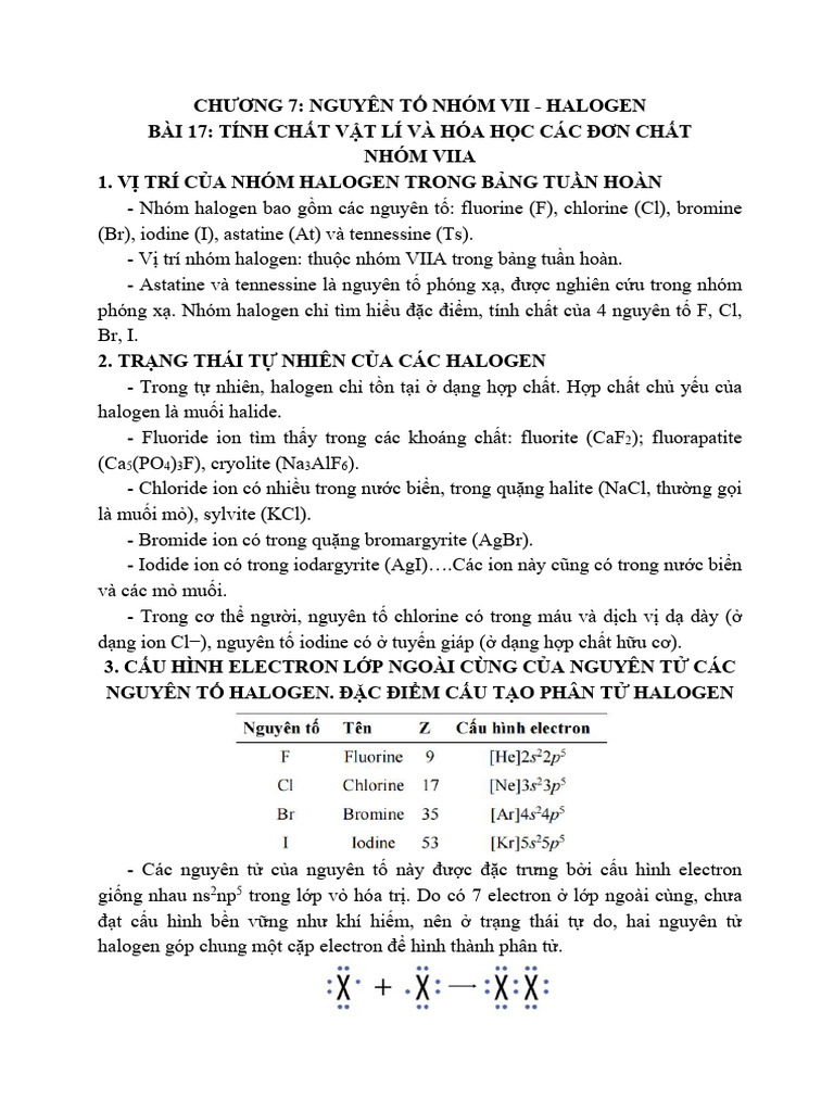 LÍ THUYẾT TRỌNG TÂM BÀI 17 | PDF