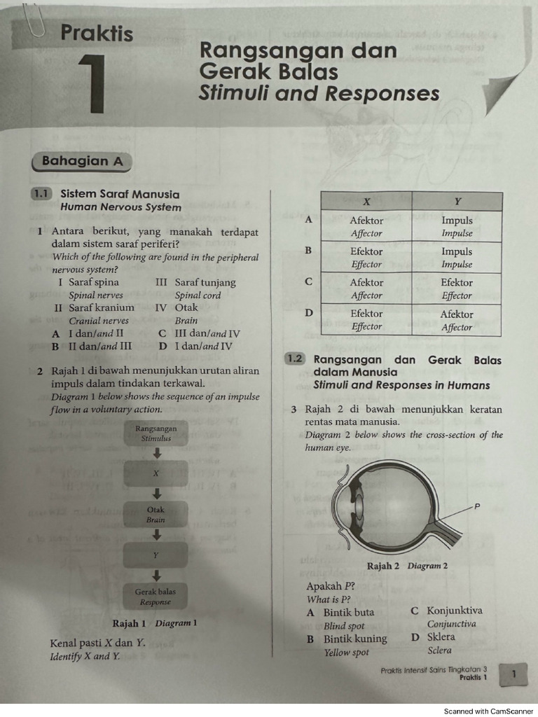Praktis Intensif Sc Chap1-3 | PDF