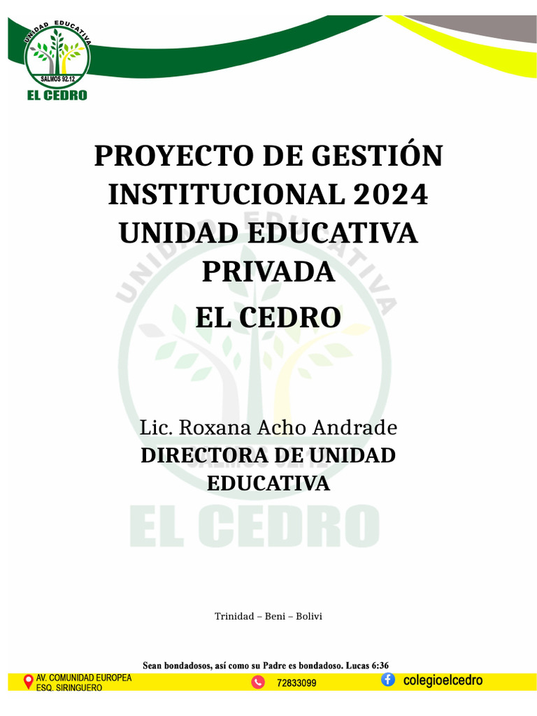 Pgi Cedro 2025 | PDF | Enseñando | Plan de estudios