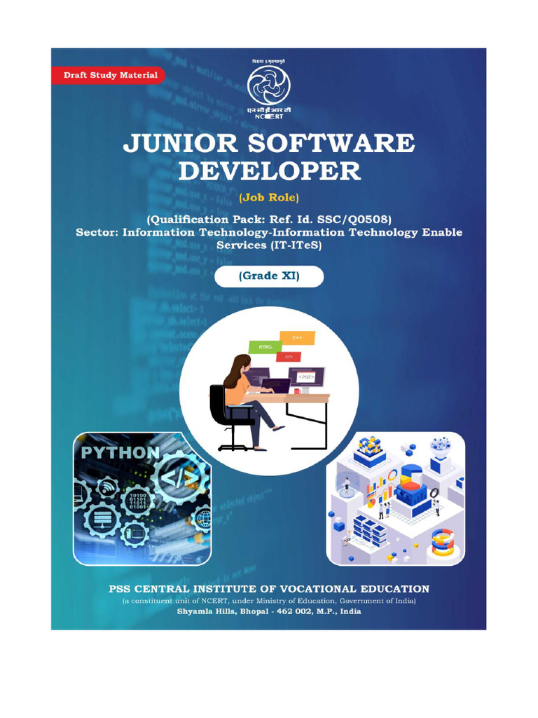 Junior Software Developer English Class 11 | PDF | Printer (Computing) | Usb Flash Drive