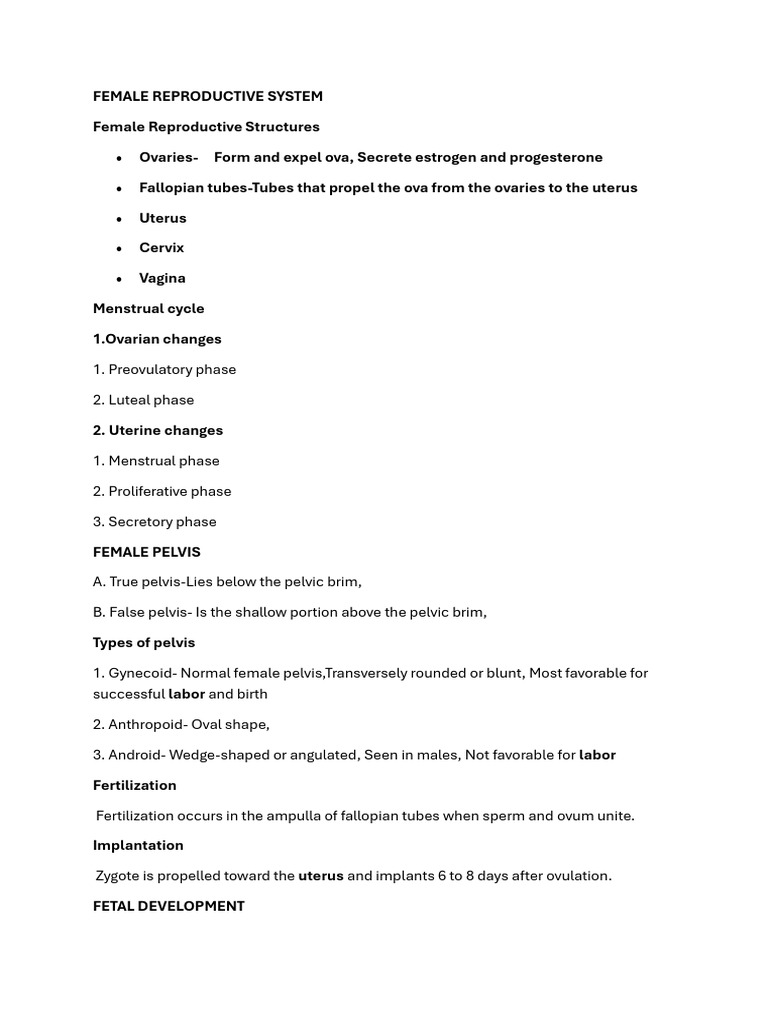 Female Reproductive System | PDF | Childbirth | Menstrual Cycle