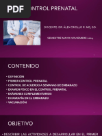 Carpeta Control Prenatal | PDF