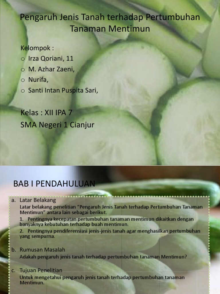 Pengaruh Jenis Tanah Terhadap Pertumbuhan Tanaman Mentimun | PDF | Griya & Taman