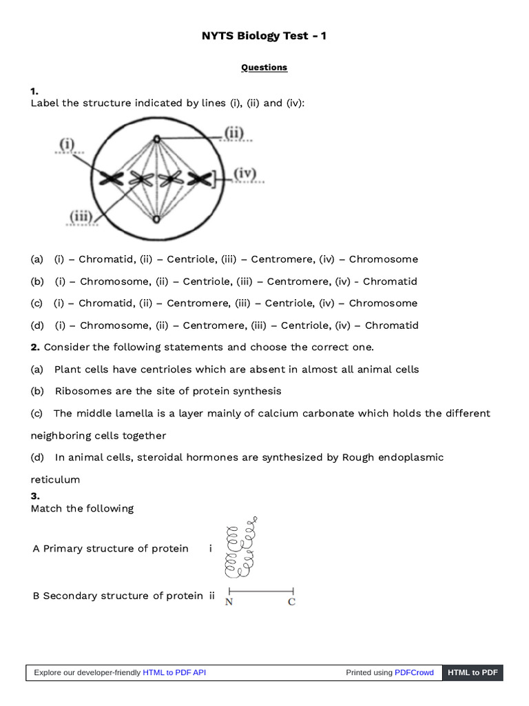 NYTS Biology Test 01 | PDF | Plant Stem | Vacuole