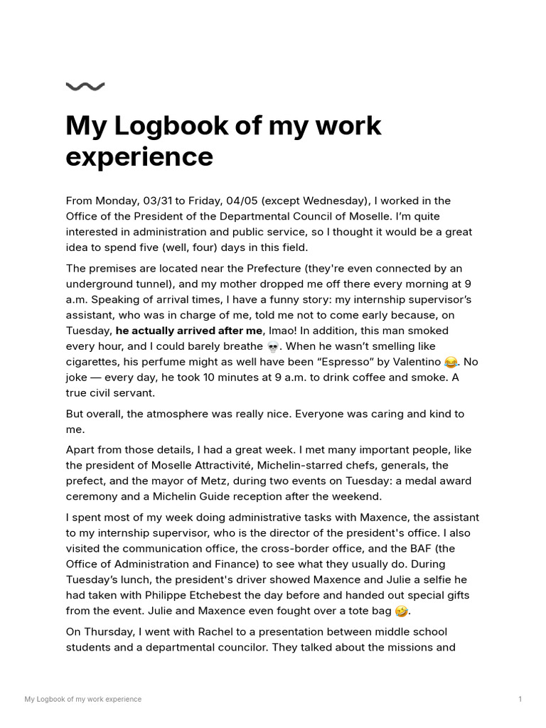 My Logbook of My Work Experience | PDF