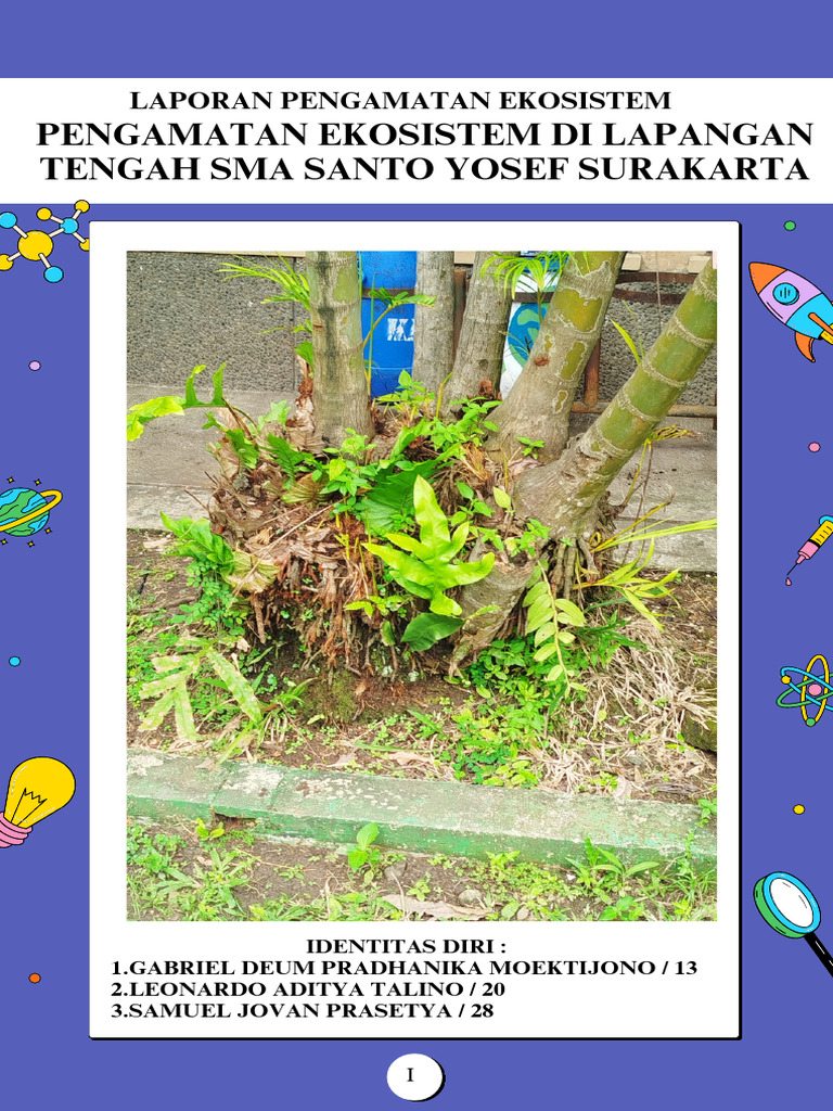 Laporan Pengamatan Ekosistem | PDF