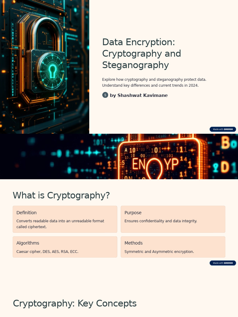 Data Encryption Cryptography and Steganography | PDF | Cryptography | Encryption