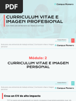 Pasos para Elaborar Una Sintesis Curricular | PDF | Plan de estudios