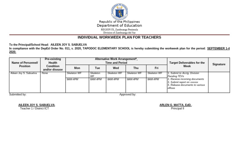 Individual Workweek Plan | PDF