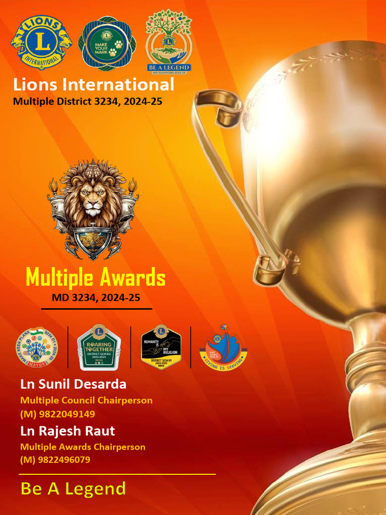 2024-25 Lions Awards Criteria Guide | PDF